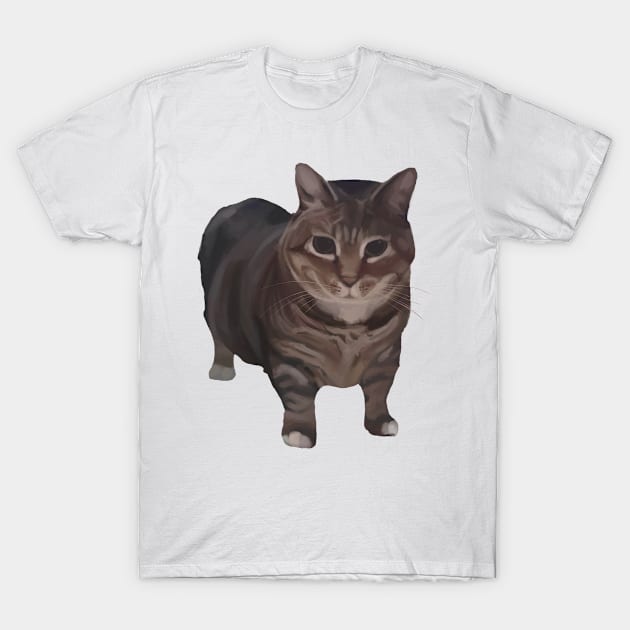 Spinning Cat Meme / OIIAI Cat - Meme - T-Shirt | TeePublic